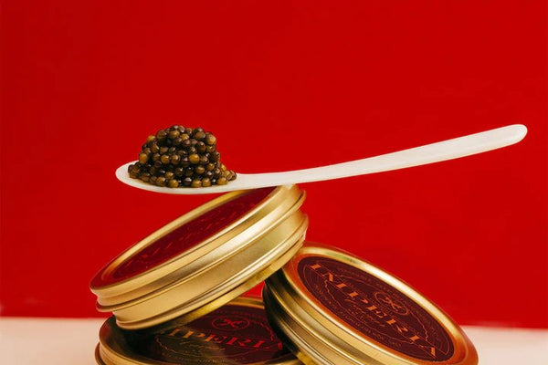 Caviar Spoons: Choosing the Perfect Utensil for an Exquisite Experienc ...