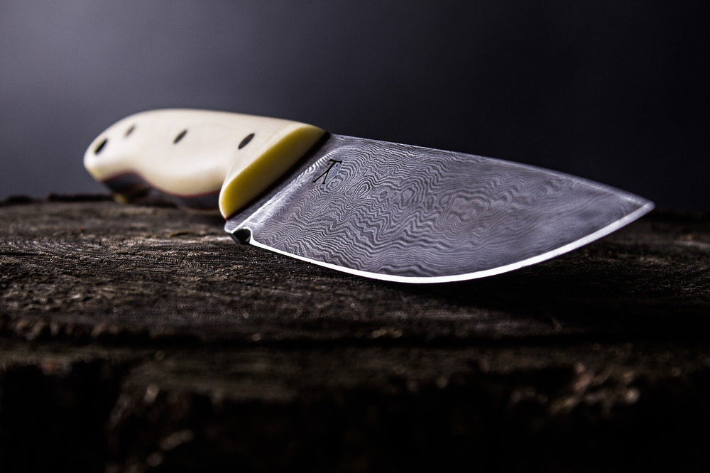 The Durability Difference Between Forged and Stamped Kitchen Knives ...